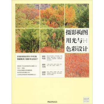 摄影构图 用光与色彩设计 甘霖,周佳驿  书籍
