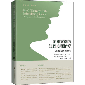 困难案例的短程心理治疗 改变无法改变的 (美)理查德·菲什,(美)卡琳·施兰格  陈珏,钱捷 译 书籍