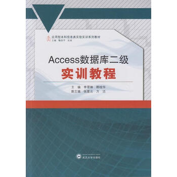 Access数据库二级实训教程李翠琳武汉大学出版社9787307175877 考试书籍
