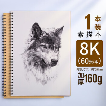 2本素描本A4美术生手绘专用素描纸16K小学生用空白图画本儿童幼儿园8k涂鸦本加厚成年初学者动漫彩铅纸画本 8K加厚-160克（1本/无赠品）
