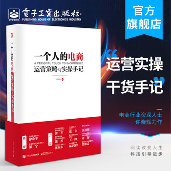 一个人的电商：运营策略与实操手记（双色）