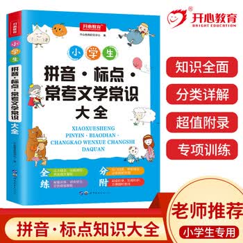 拼音标点常考语文文学常识大全 小学通用知识点  配套练习题训练讲练结合 开心教育