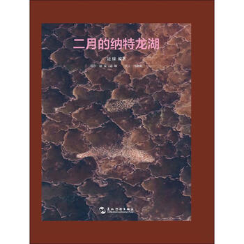 二月的纳特龙湖 边缘 编 书籍