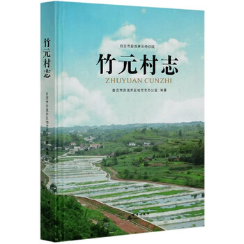 竹元村志(精)
