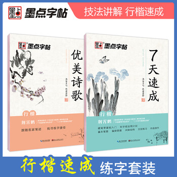 墨点字帖行楷硬笔书法练习字帖2本套装荆霄鹏行楷字帖连笔字字帖学生成人钢笔字帖男女大学生临摹描红手写体