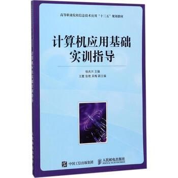 计算机应用基础实训指导 杨兆兴 主编 书籍