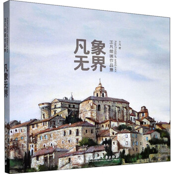 凡象无界 王凡绘画作品集 王凡  书籍