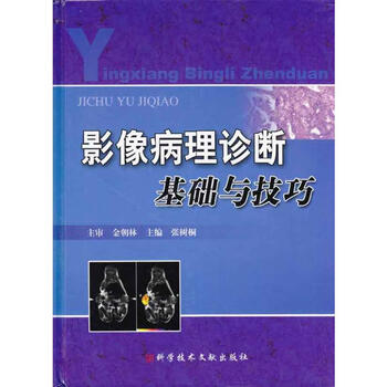 影像病理诊断基础与技巧  张树桐  主编 书籍