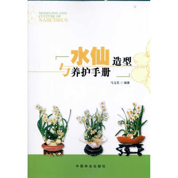 水仙造型与养护手册
