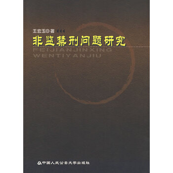 非监禁刑问题研究 王宏玉【正版图书】