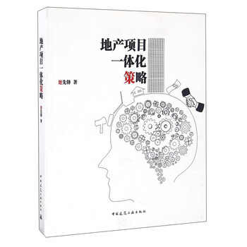 地产项目一体化策略