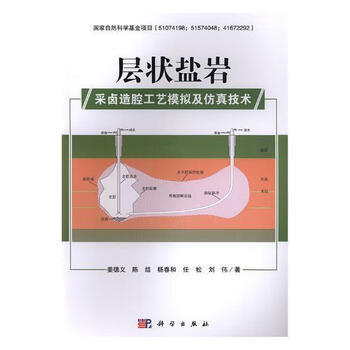 层状盐岩采卤造腔工艺模拟及仿真技术 姜德义 计算机与互联网 9787030538246