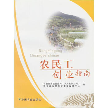 包邮：农民工创业指南 励志与成功   图书