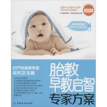 胎教早教启智专家方案   书籍