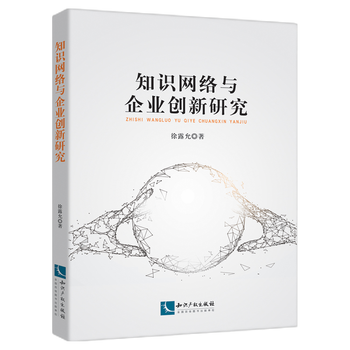 知识网络与企业创新研究