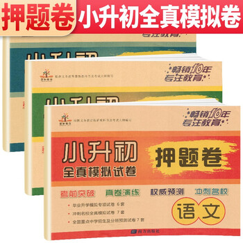 套装3册 小升初试卷语文数学英语 押题卷全套模拟测试卷真题卷必刷题人教版小学毕业总复习书小升初测试卷复习卷毕业总复习