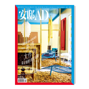 安邸AD 时尚家居 21年4月刊 友情大作为 设计拍档 亲密无间