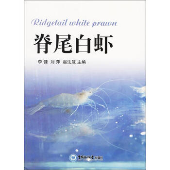 脊尾白虾