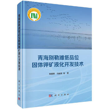 青海别勒滩低品位固体钾矿液化开发技术