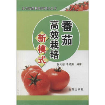 番茄高效栽培新模式 张文新,于红茹  书籍