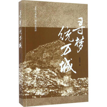 寻梦统万城 武国强  书籍