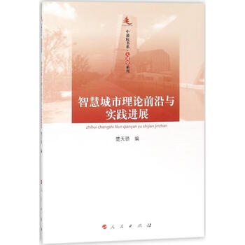 智慧城市理论前沿与实践进展