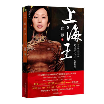 上海王小说  图书