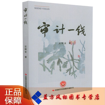 审计一线 王照全著 书中能找到映像和倒影，似曾相识中茅塞顿开 中国时代经济出版社