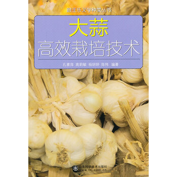 大蒜高效栽培技术