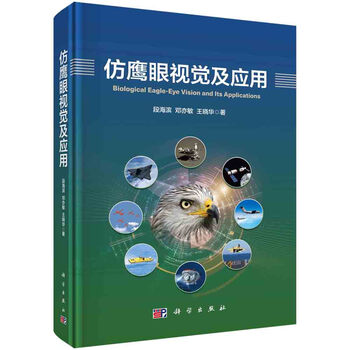 [正版图书]仿鹰眼视觉及应用