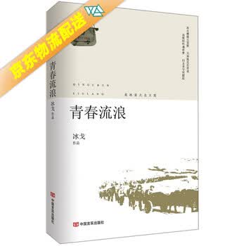 青春流浪