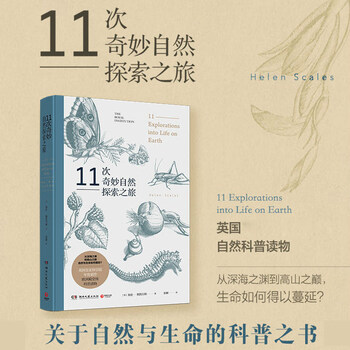 11次奇妙自然探索之旅(精)于自然与生命的科普书 英国科学院年度新作 自然与生命的科学探讨 13次时空穿梭之旅