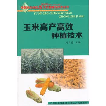 玉米高产高效种植技术 马日亮 内蒙古人民出版社