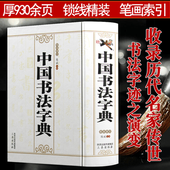 书法技法教程字典 中国书法字典 定价98