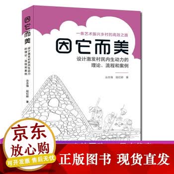 n因它而美：设计激发村民内生动力的理论、流程和案例