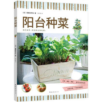 阳台种菜
