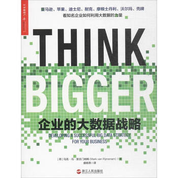 企业的大数据战略 浙江人民出版社 