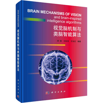 视觉脑机制与类脑智能算法 图书