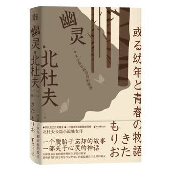 幽灵：一个关于童年和青春的故事（芥川龙之介奖得主，自传性质的长篇小说，三岛由纪夫盛赞）