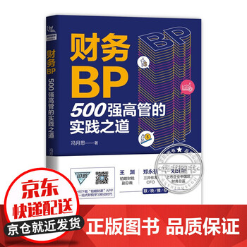 财务BP：500强高管的实践之道 正版