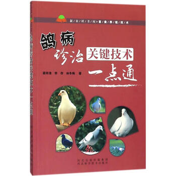 鸽病诊治关键技术一点通