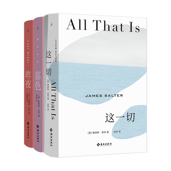詹姆斯·索特作品系列  这一切 昨夜 暮色 一场游戏一次消遣 光年【理想国图书】 这一切 昨夜 暮色 3册
