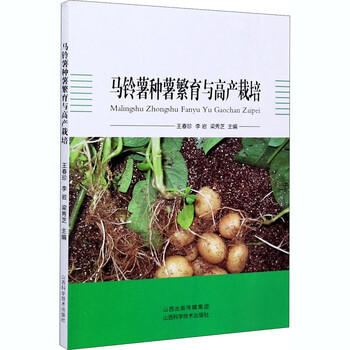 马铃薯种薯繁育与高产栽培