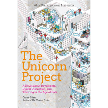 独角兽项目 The Unicorn Project: A Novel about Develo...