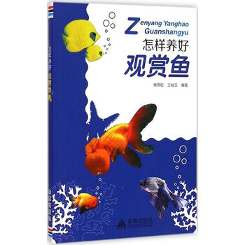 怎样养好观赏鱼