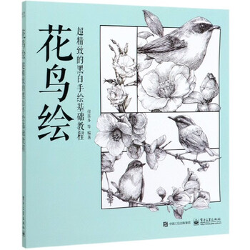 花鸟绘(超精致的黑白手绘基础教程)