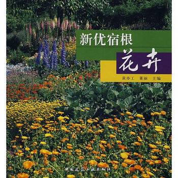 新优宿根花卉