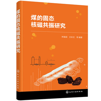 煤的固态核磁共振研究