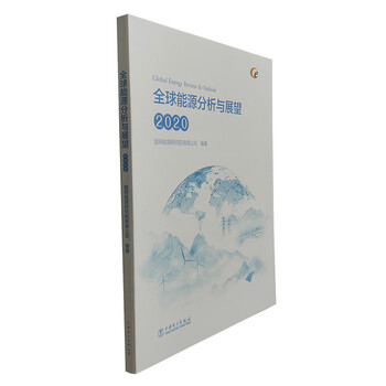 全球能源分析与展望 2020