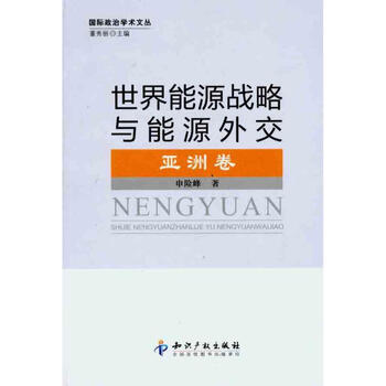 世界能源战略与能源外交·亚洲卷